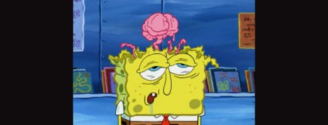 Okay, Stop Me If You’ve Heard This One: A Sea Squirt and a Sponge Walk ...