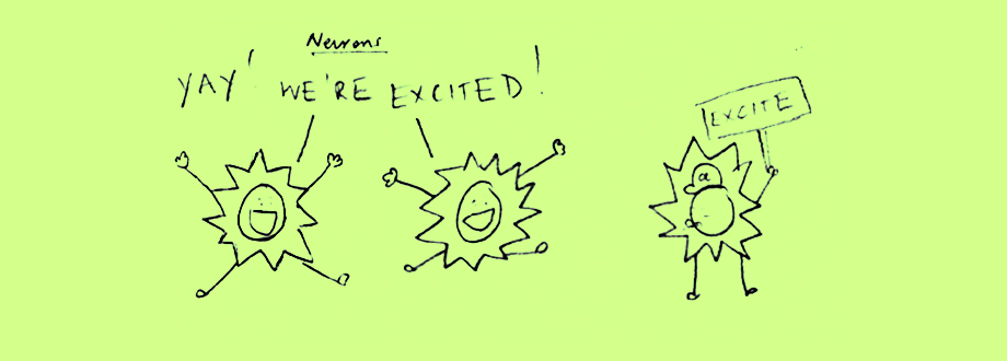 When the Brain Is Under Stress, It Gets Excited Thanks to GABA ...