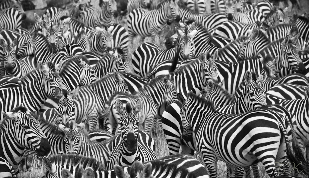Book Review: ‘Understanding Hypermobile Ehlers-Danlos Syndrome and ...